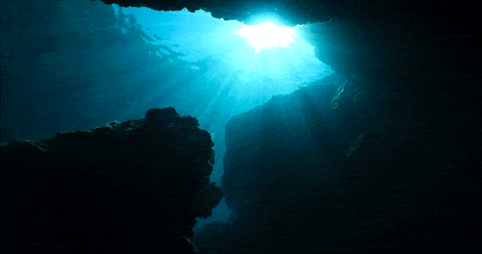 Top 5 Underwater Filming Locations | NAF+